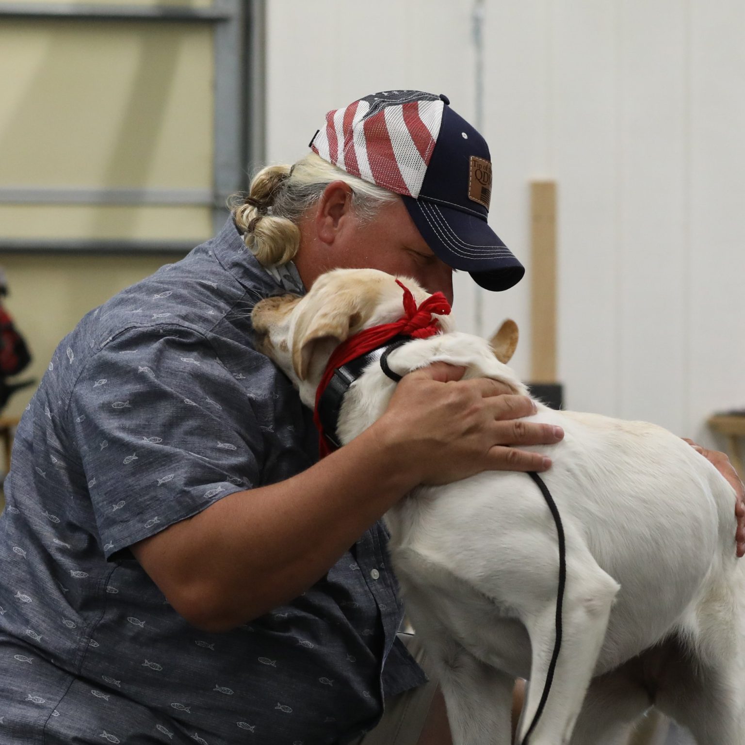 Veterans meet their service dogs for the first time – This Able Veteran